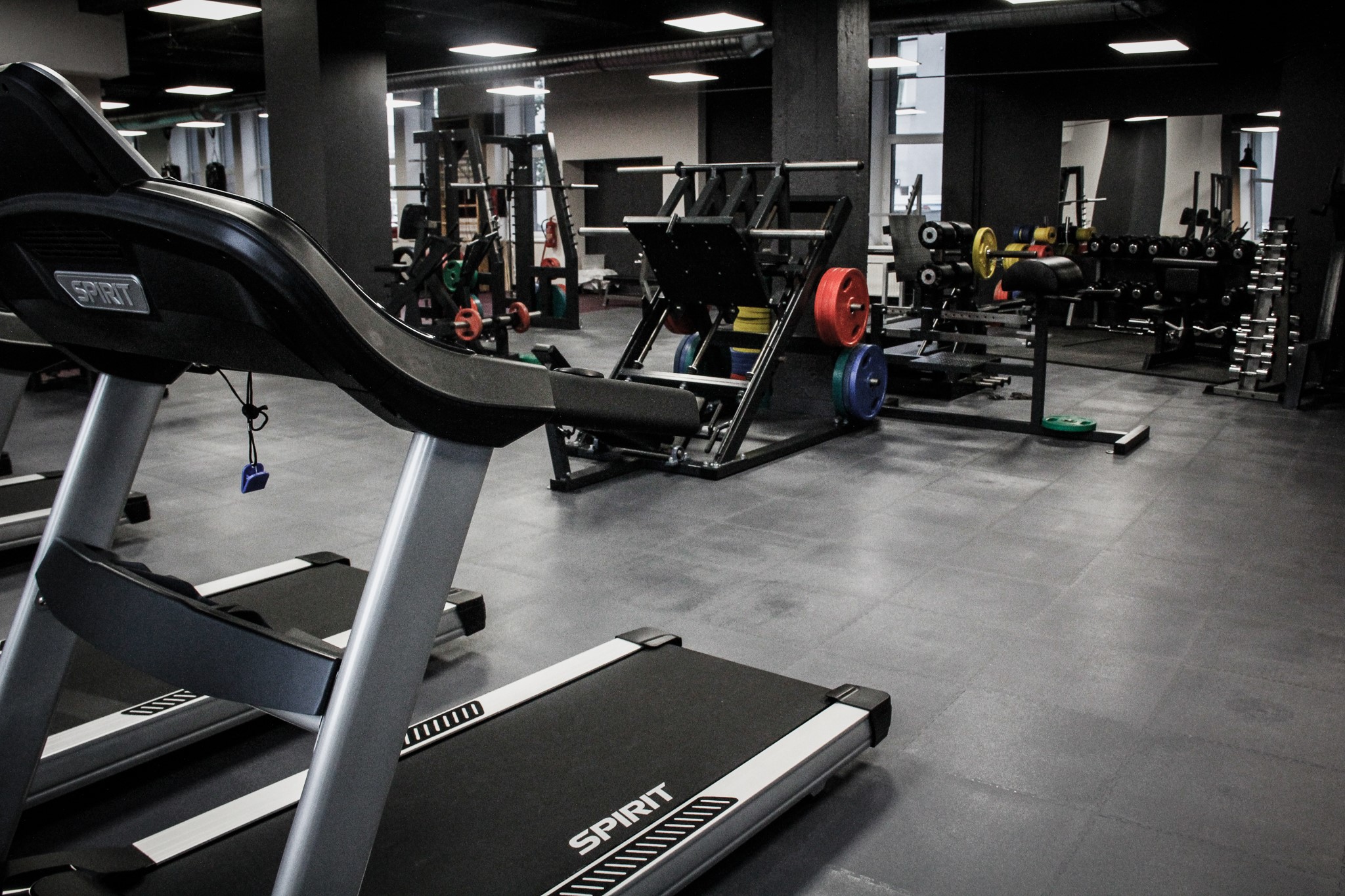 TM Fighting Gym – Nils Putnins